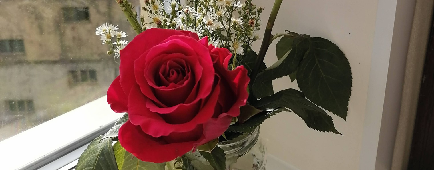 Вышивка за Полярным кругом