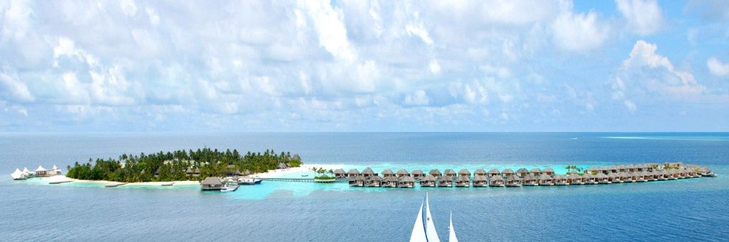 Крысивый Джо