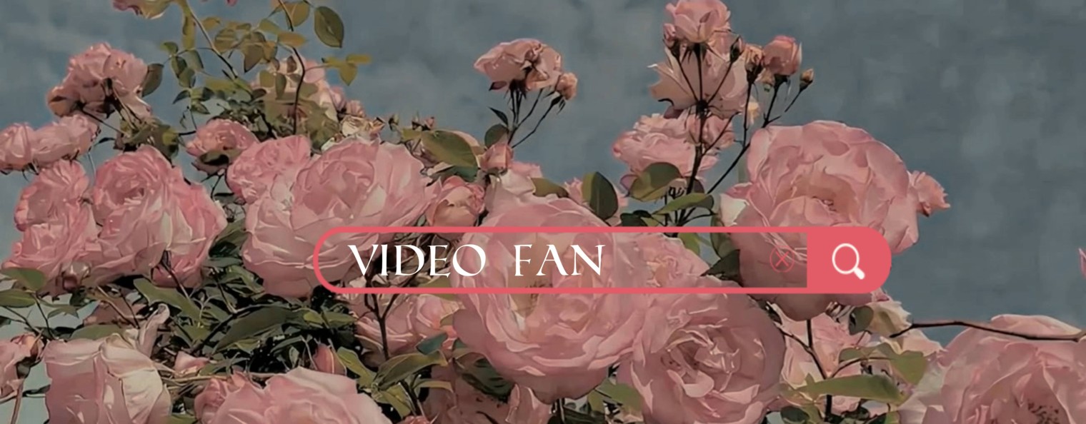 VIDEO FAN