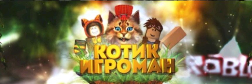 Котик Игроман