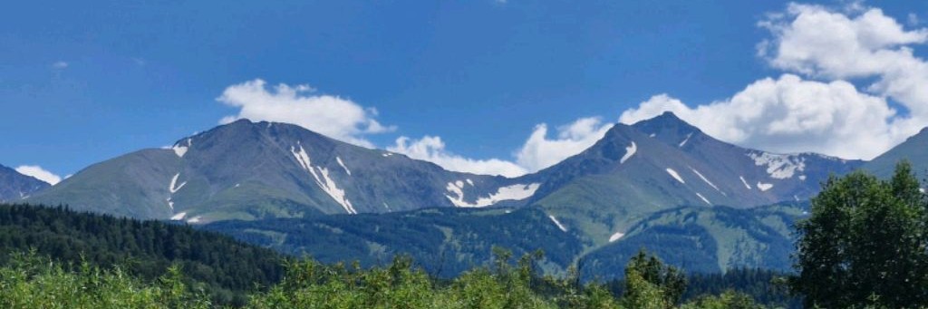 СТАВКИ НА ЛЕГКЕ