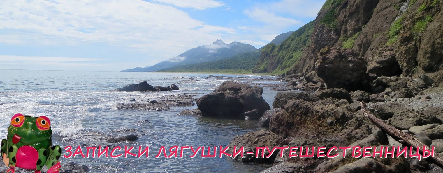 Записки ЛЯГУШКИ-ПУТЕШЕСТВЕННИЦЫ