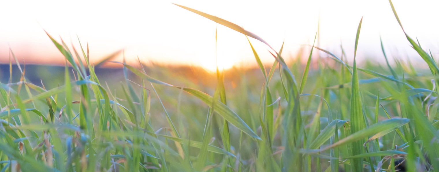 Агропромкомплектация