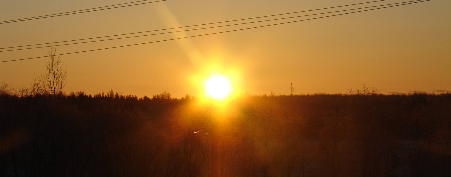 Тропосферное коневодство