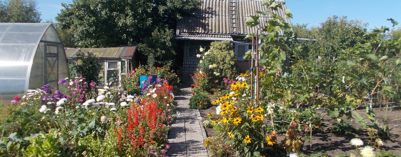 Станислав Бледнов