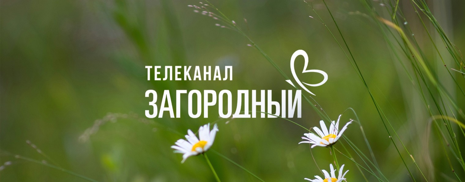 Загородный