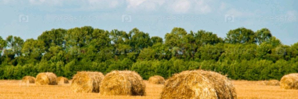 В  гостях у Виктора