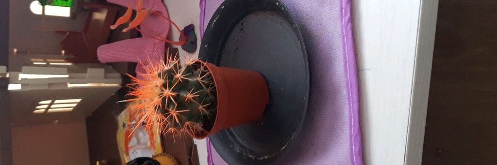 Приключения Ксюши и басят.