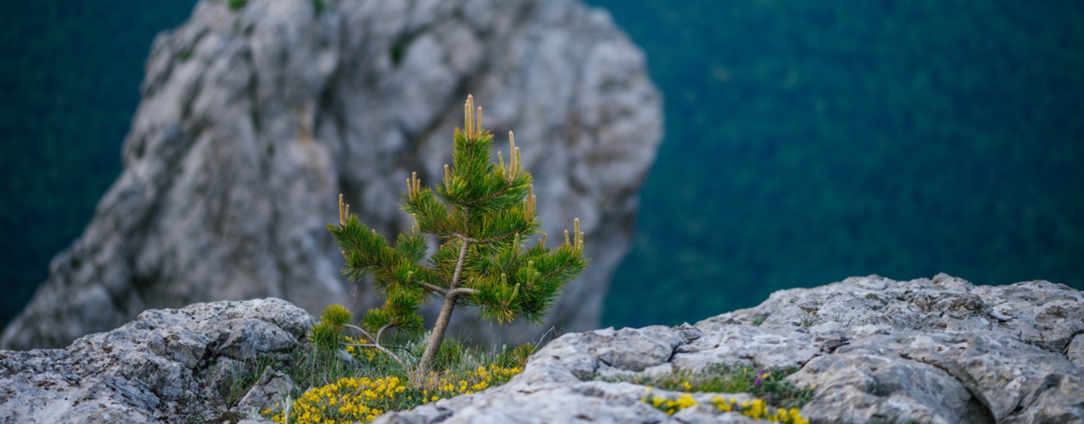 Центр им. Юрия Репина