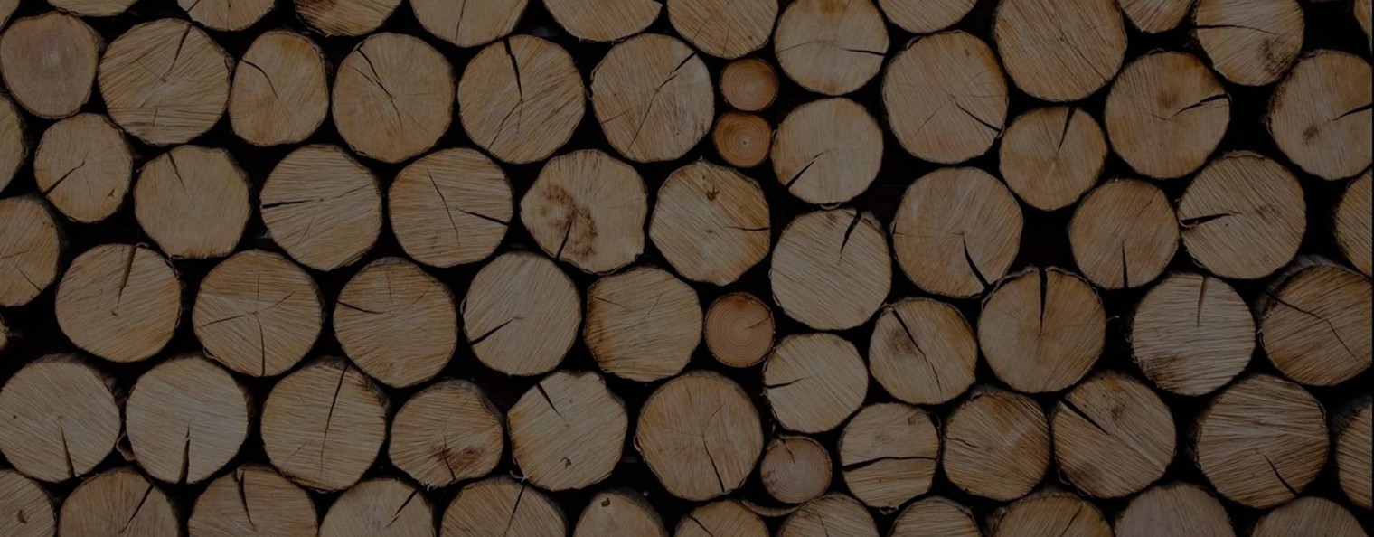 ИГРЫ НА ПНЕ