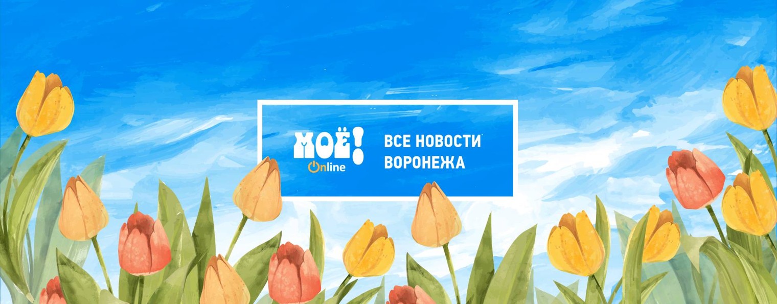 МОЁ! Online. Все новости Воронежа