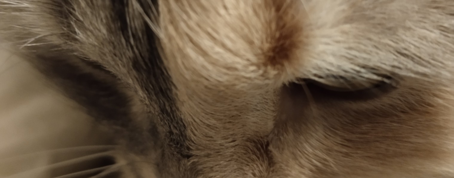 БУТЕРБРОД ТВ