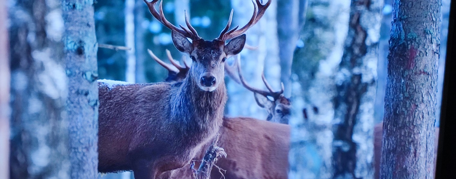 Есть контент! 🫱