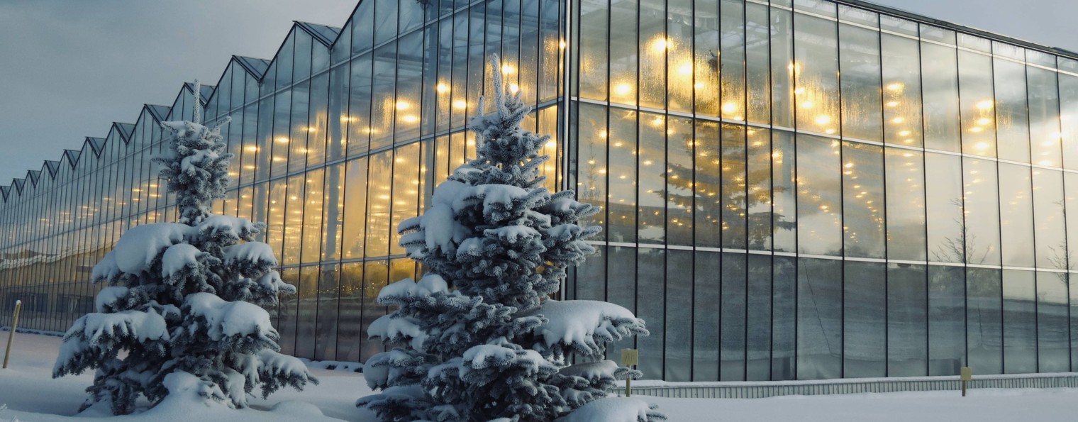 Тепличный комбинат Майский