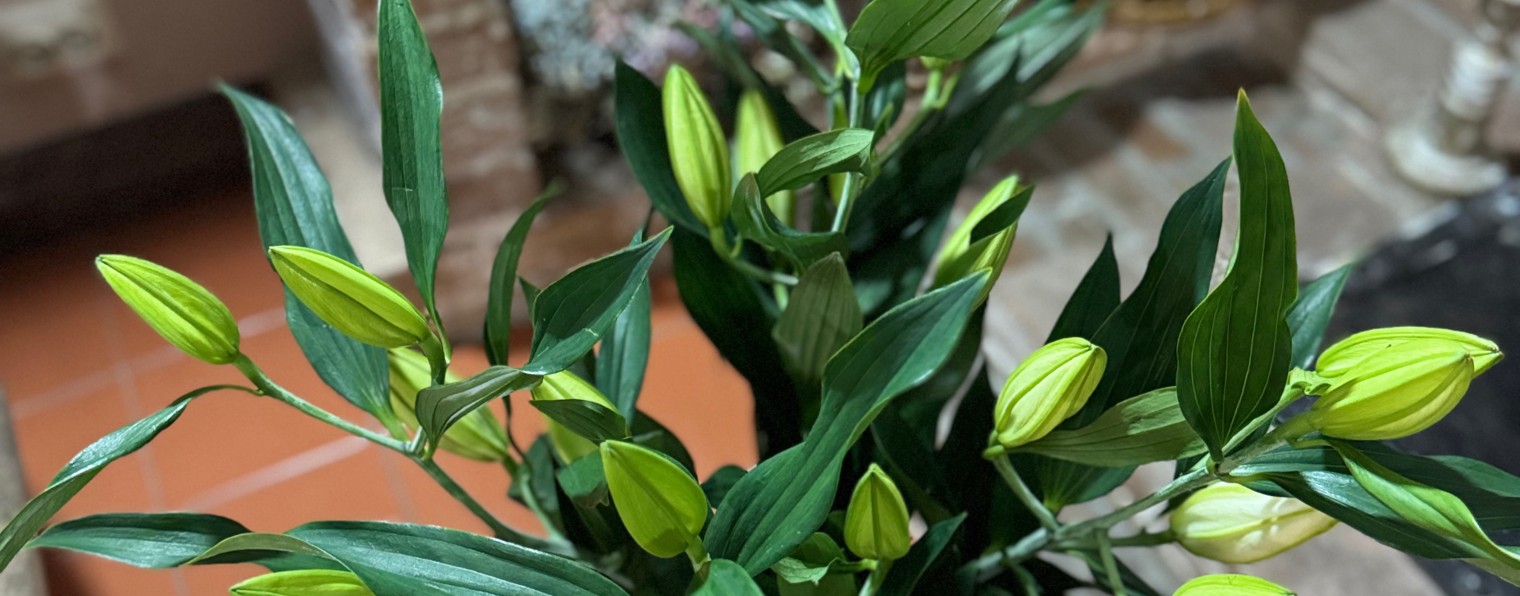 Екатерина Мальцева