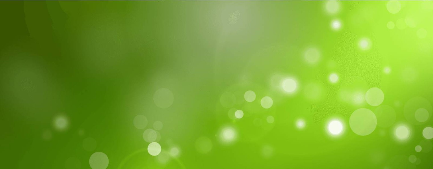 МБОУ ДО Торопецкая ДШИ