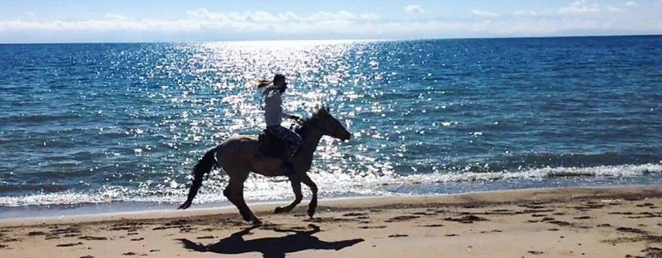 Евгения Камынина - БИОЭНЕРГОТЕРАПИЯ