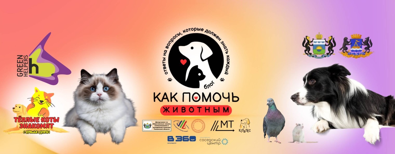 КАК ПОМОЧЬ ЖИВОТНЫМ