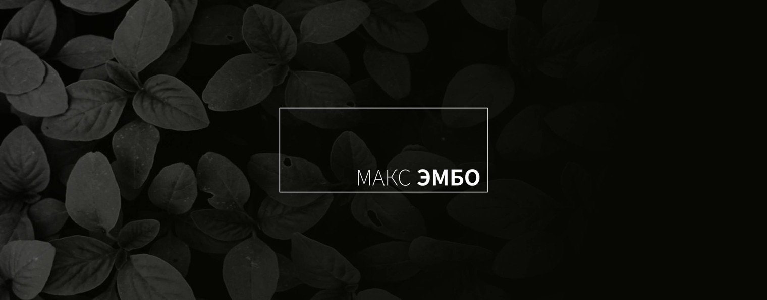 Макс Эмбо | Системная психология твоего успеха