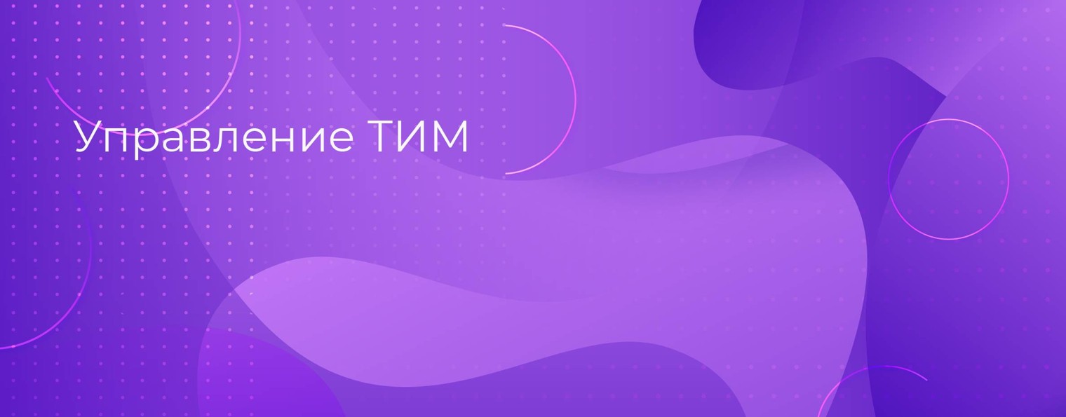 Мирпроект. Управление ТИМ