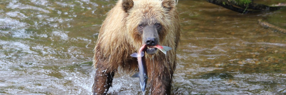 НАЧИКИНСКОЕ ОЗЕРО КАМЧАТКА