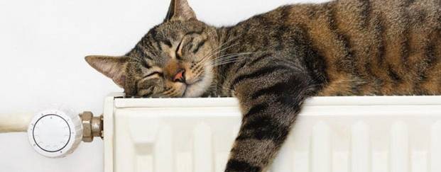 Владимир Кирсанов