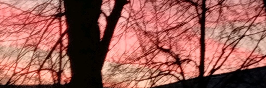 Краски моей повседневности.