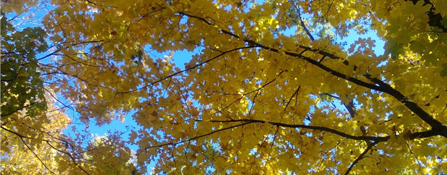 Наша Нравственность