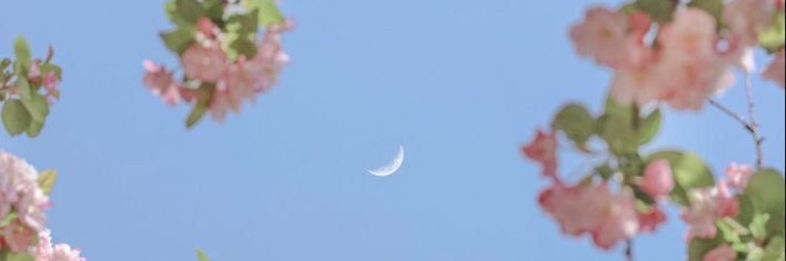 K- Pop love су Арин