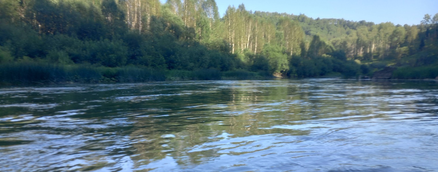 Попутный ветер