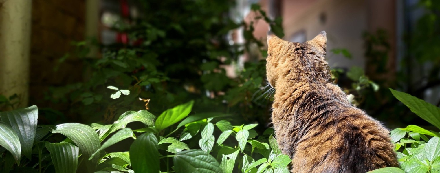 Ольга Ужакина