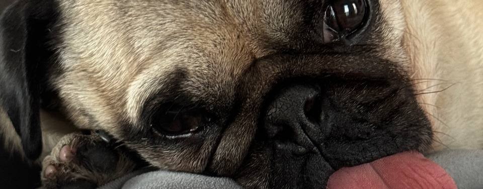 путешествия Лёни