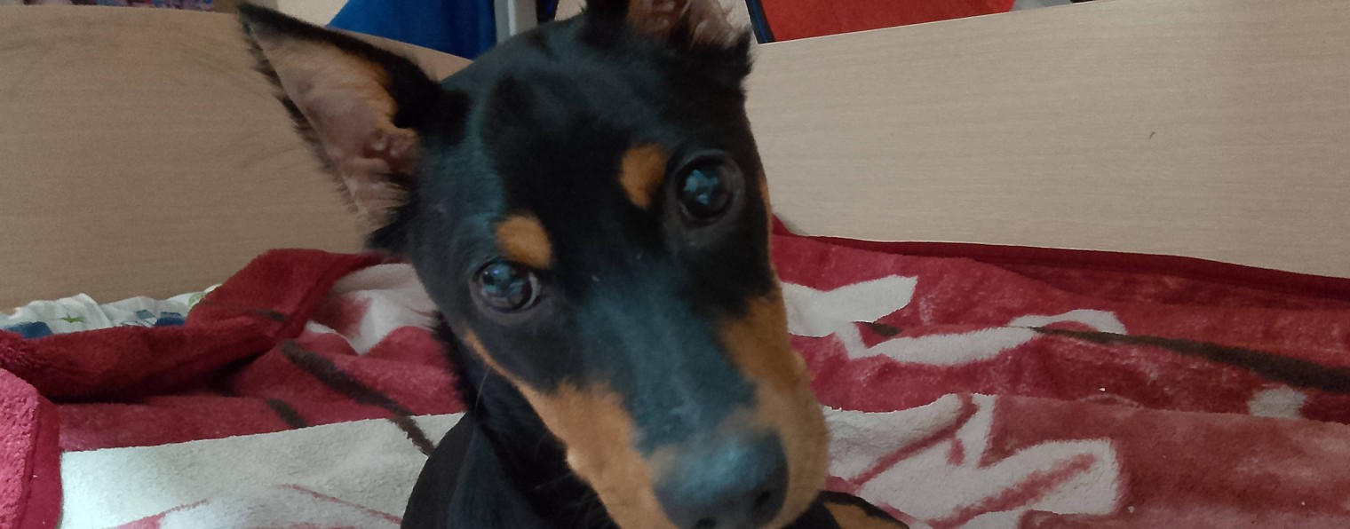 Михаллл Алексенко