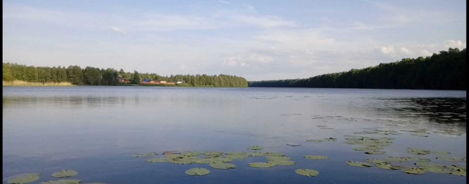 Радость в деревне.