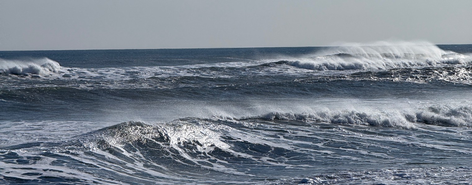 Эмилия Дегавцова