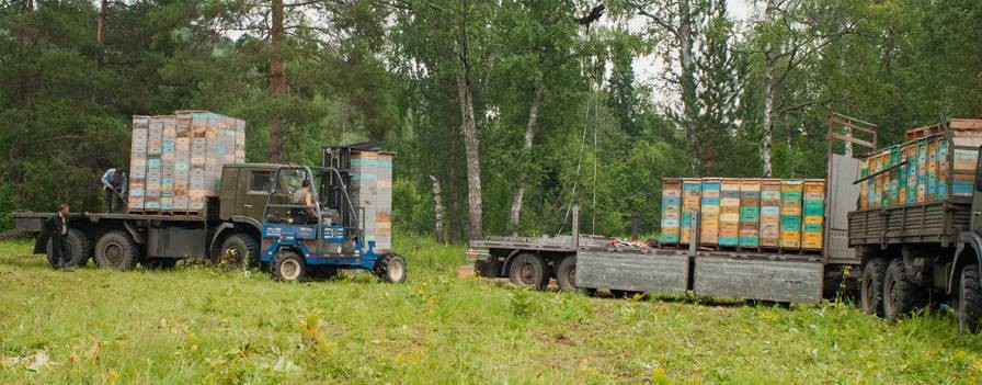 промышленная пасека Резбаева Р.Т.