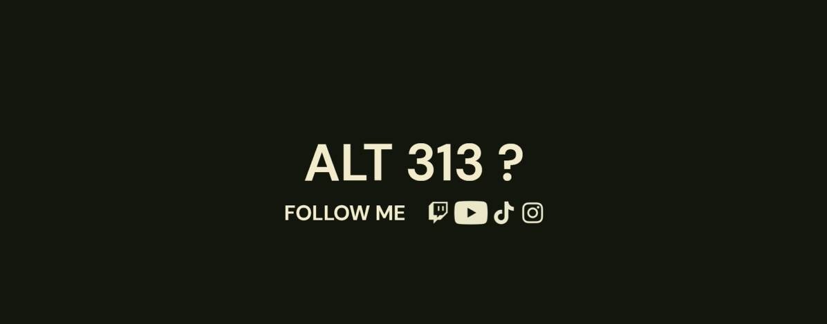 ALT 313