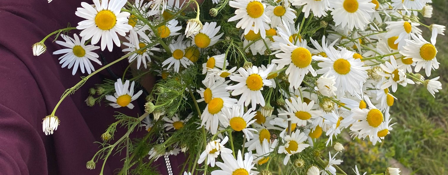 Елена Чистякова