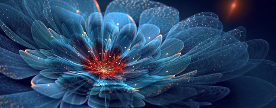 Елена Зенина