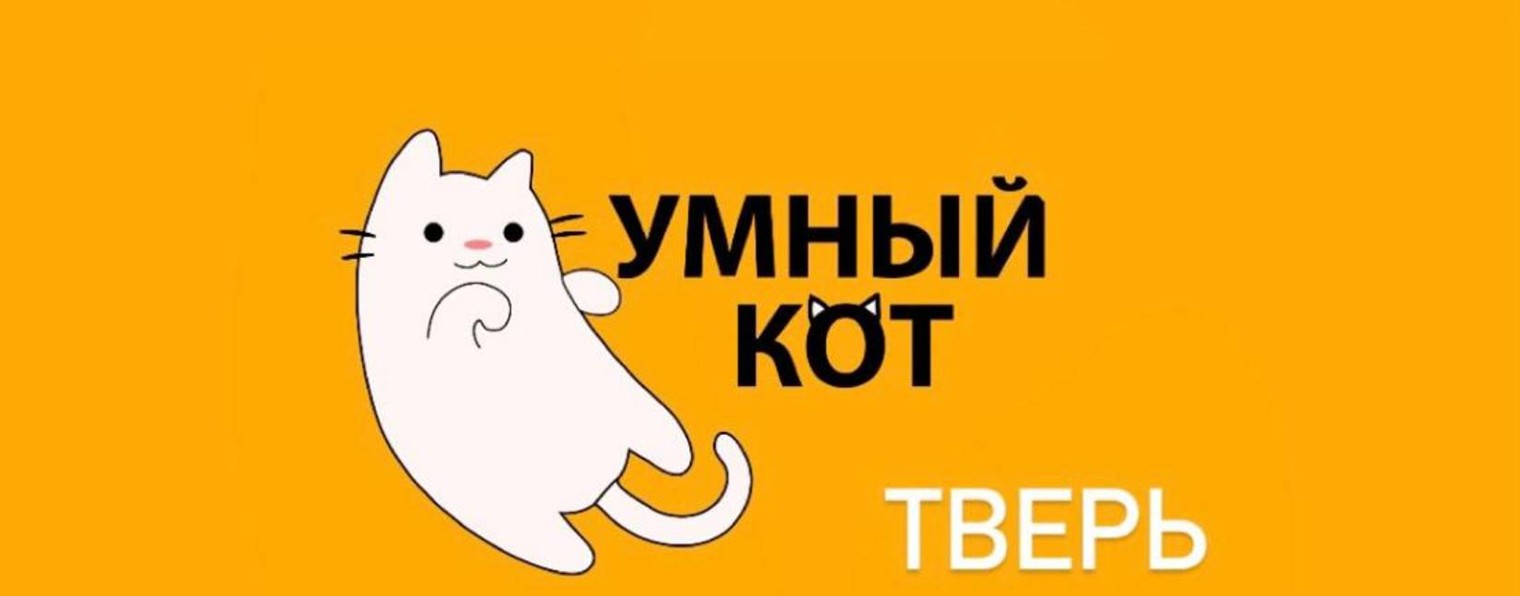 Умный Кот