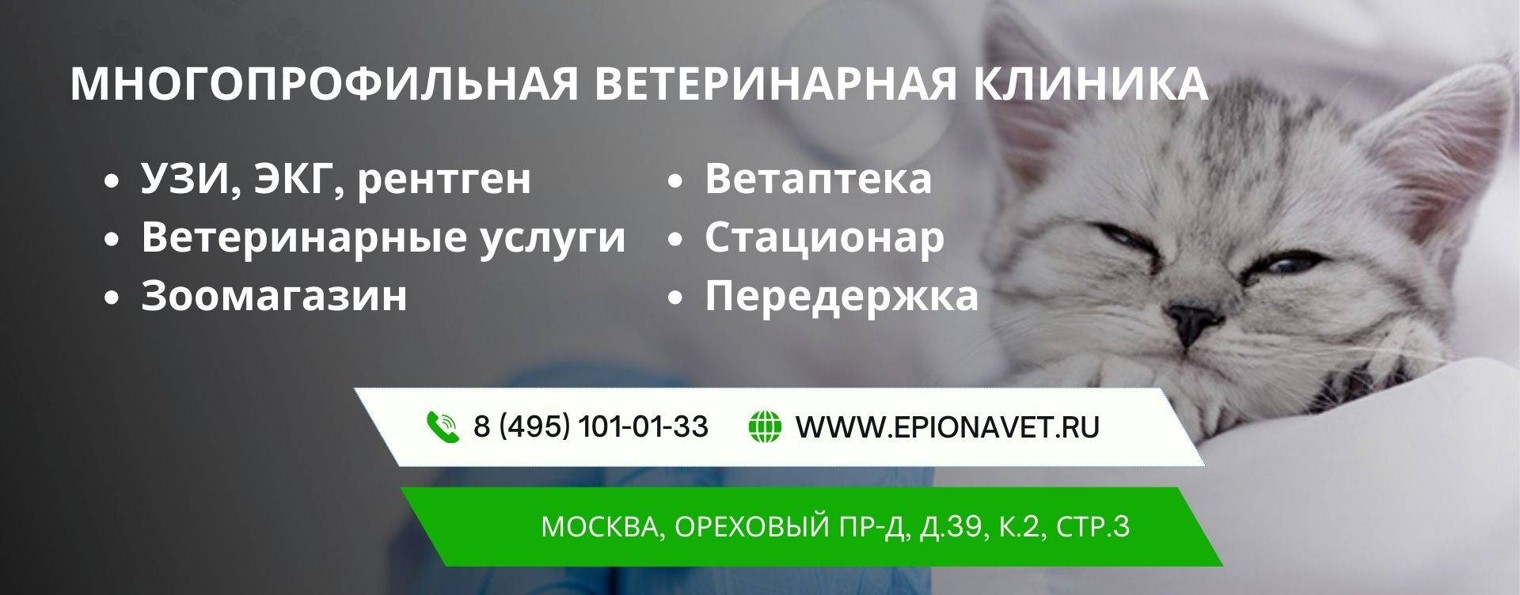 Ветклиника Эпиона