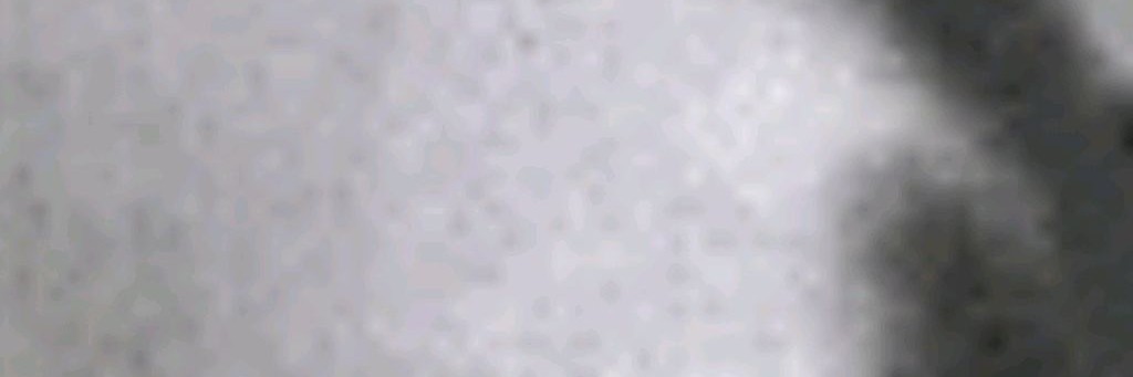 Кот пельмень 228