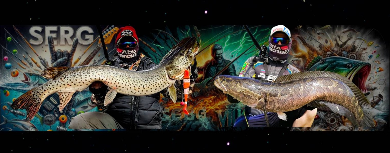 Серж ВИКИНГ