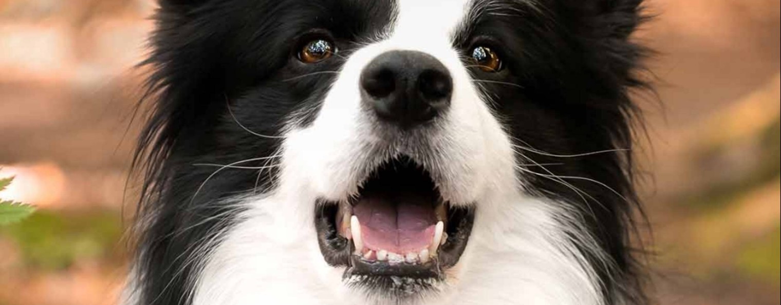 Моменты Из Жизни И Смешные Моменты