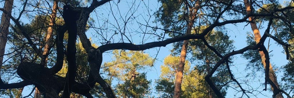 Всё, везде и сразу