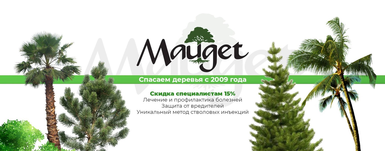 Mauget «Здоровое дерево»