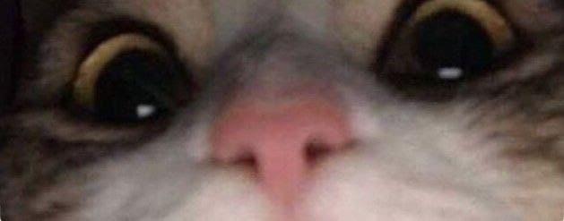 🕊️﹤MaryMi﹥🎧