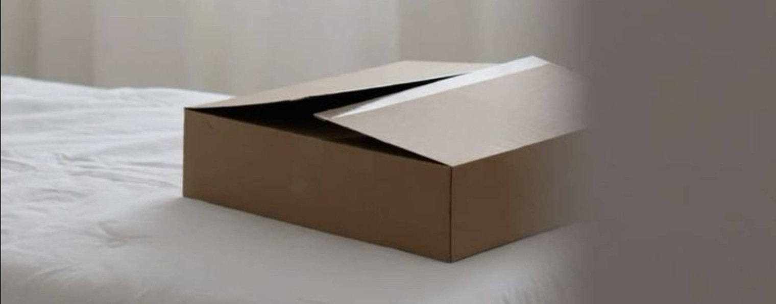 Обзорный Рай📦