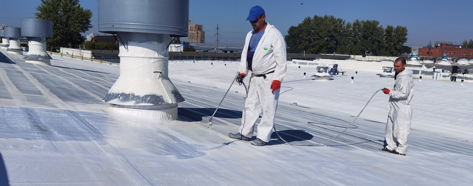 Roof Inspector Руф Инспектор