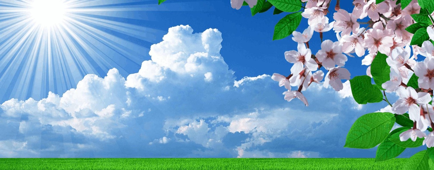 Разумовский Сергей Ретро